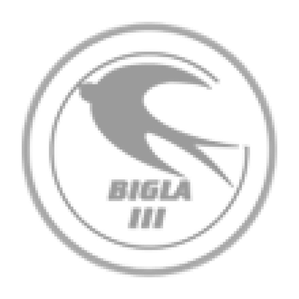 Bigla – III | Art New Vision