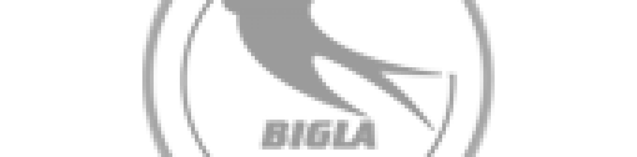 Bigla – III – Art New Vision